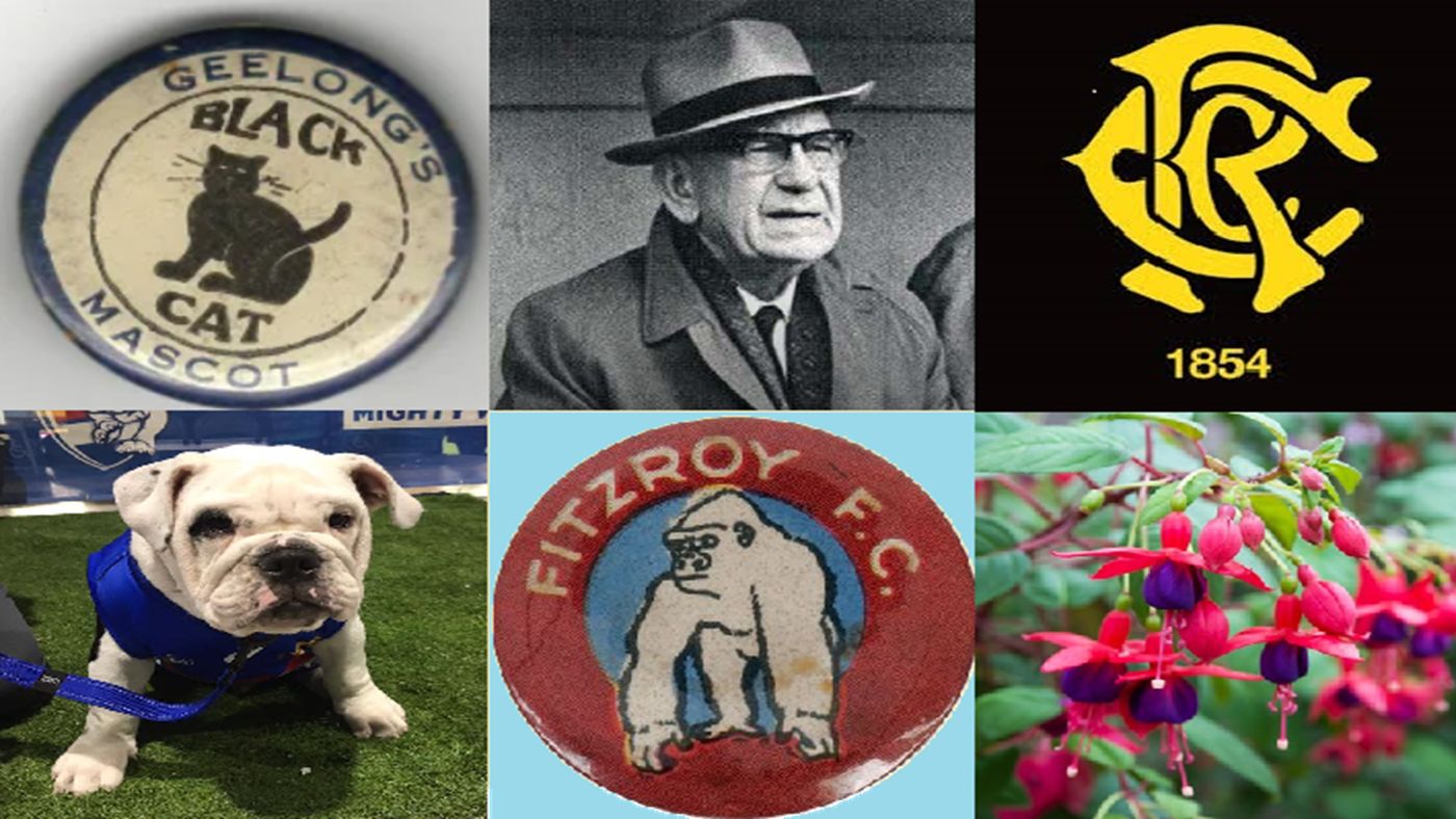 AFL Teams That Changed Their Name
