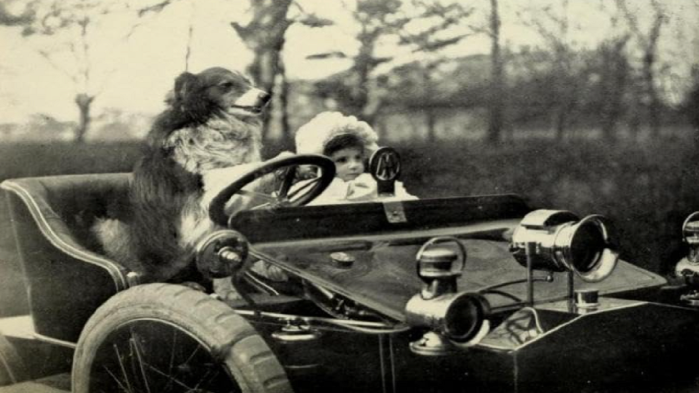 The First Movie Star Dog